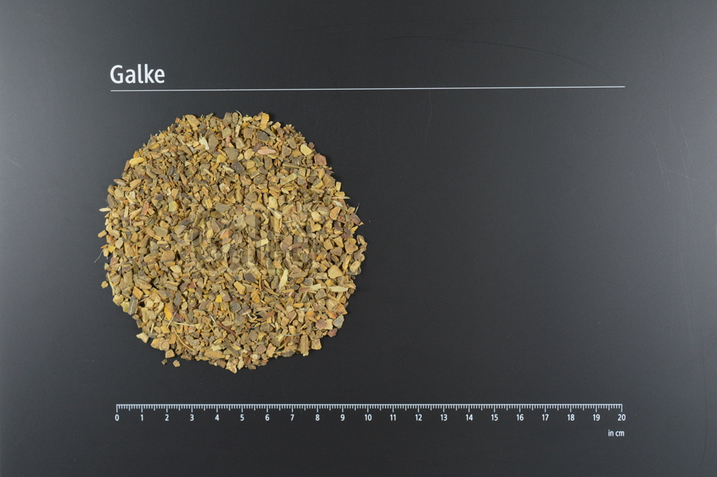 Copalchi bark cut | 37702
