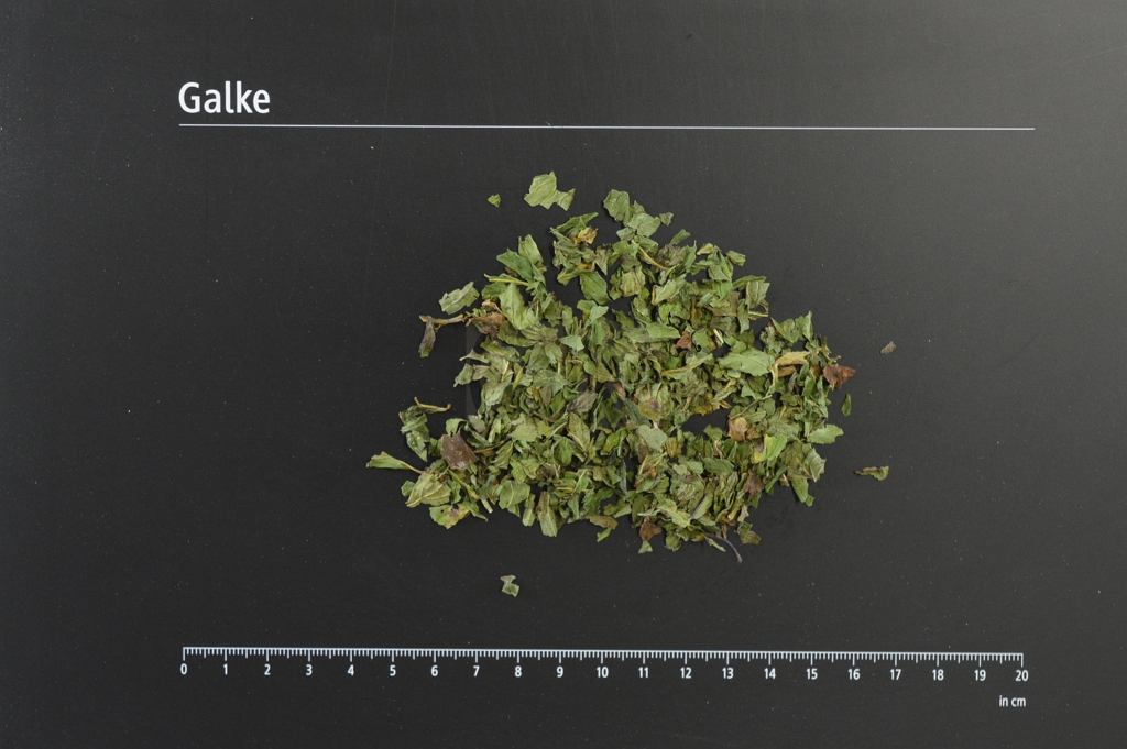 Peppermint leaves organic Germany / Austria cut | 839202