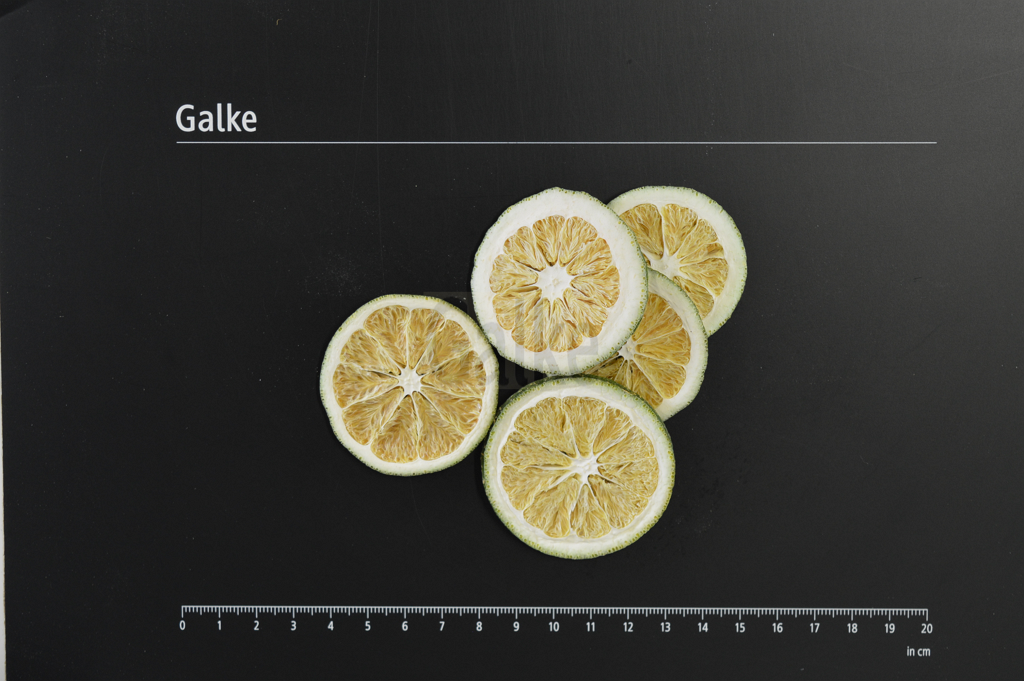 Lemon in slices | 34308