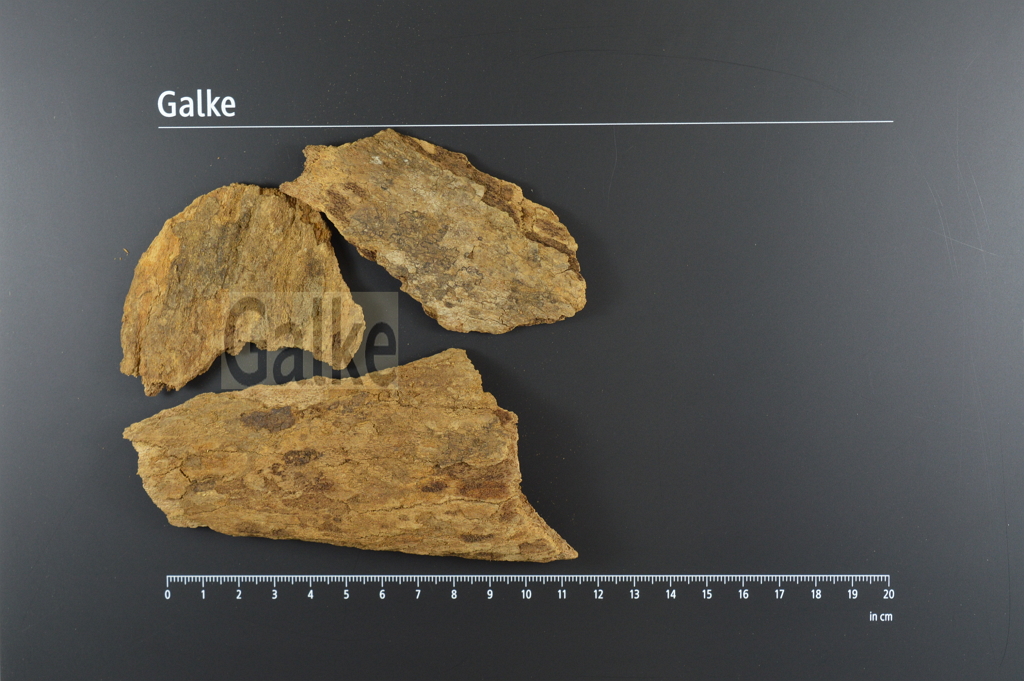 Okoubaka bark whole | 88101