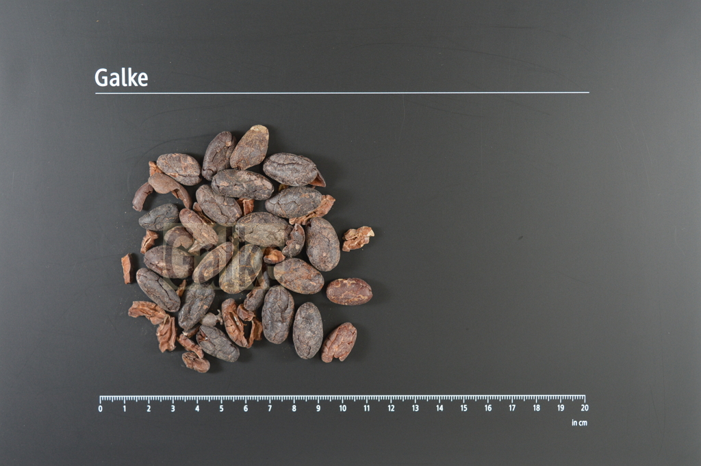 Cacao beans raw peeled | 21708