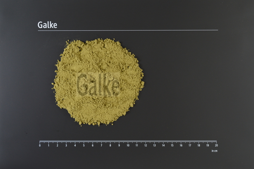 Chaparral leaves powder | 72304