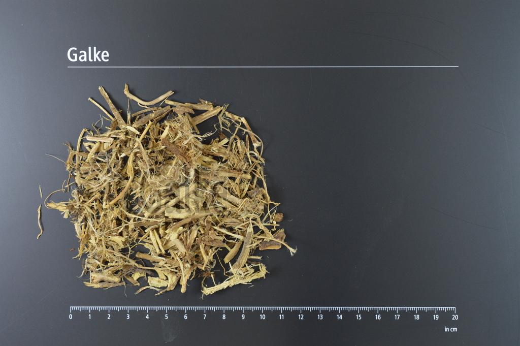 Wild indigo root cut | 15502