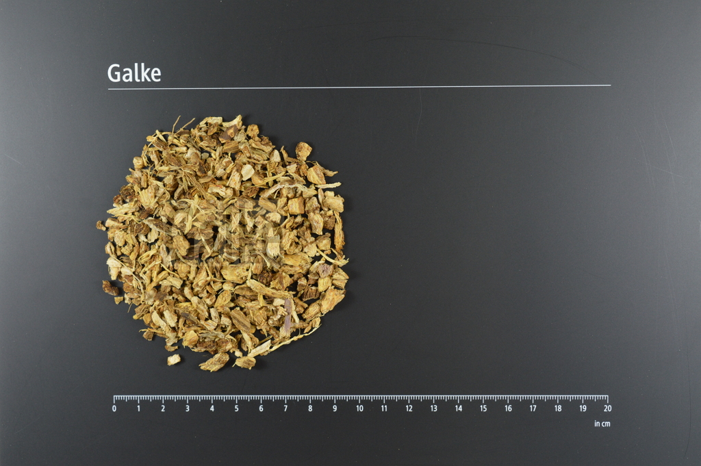 Carline root cut | 26002