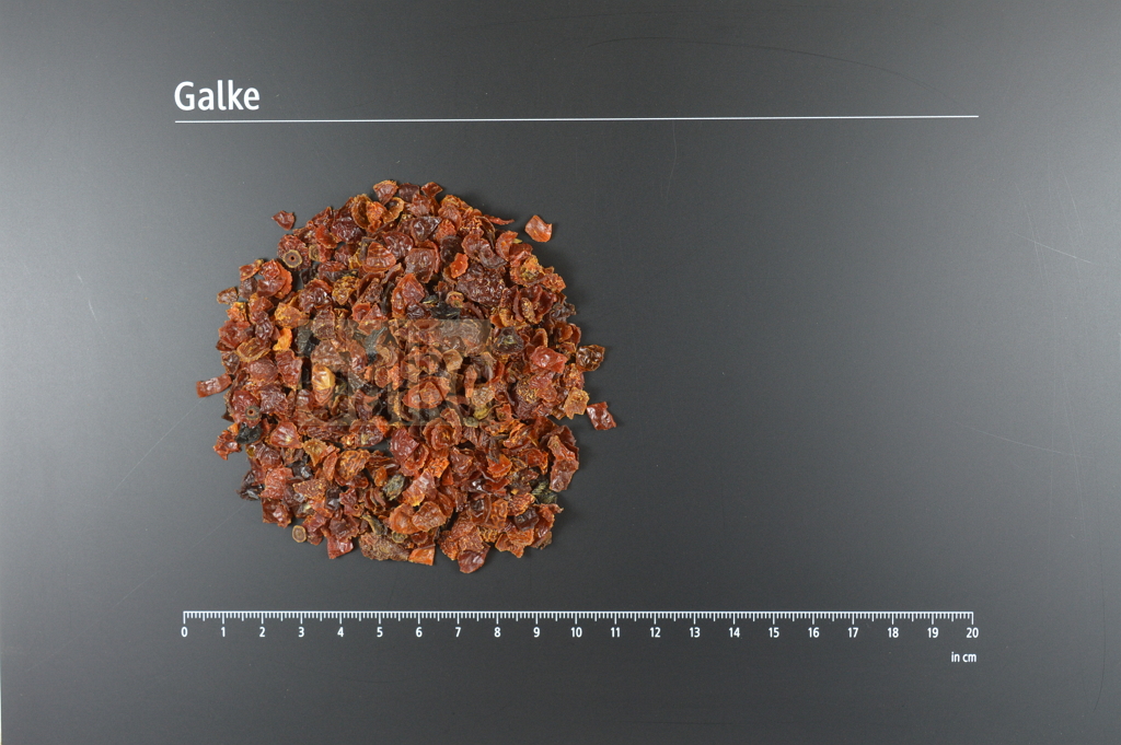 Rosehip shells organic South America cut | 818102