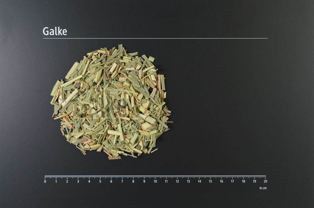 Lemongrass organic cut | 825302
