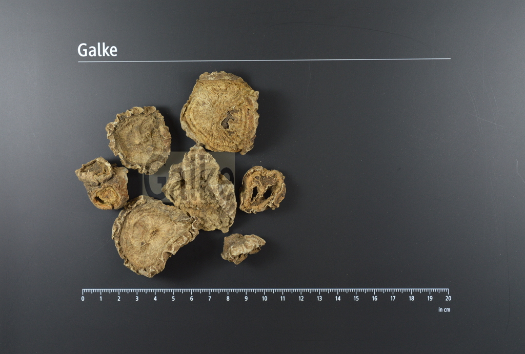 Devil's claw root whole | 60601