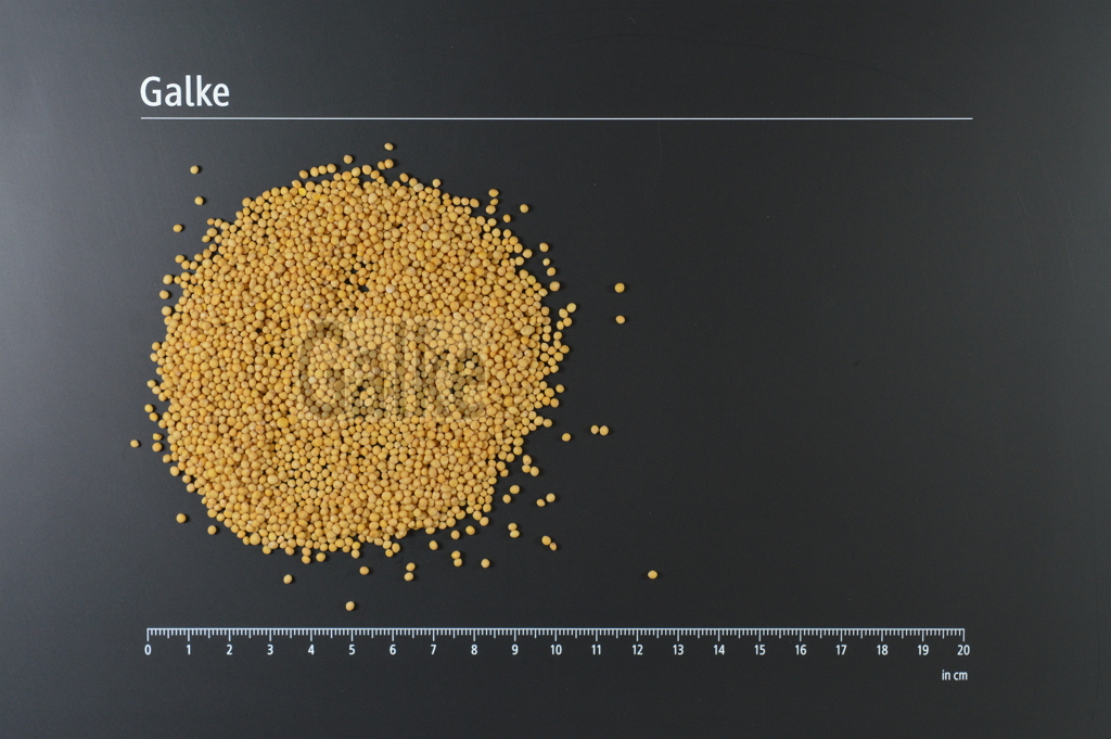 Mustard yellow seeds organic whole | 846101