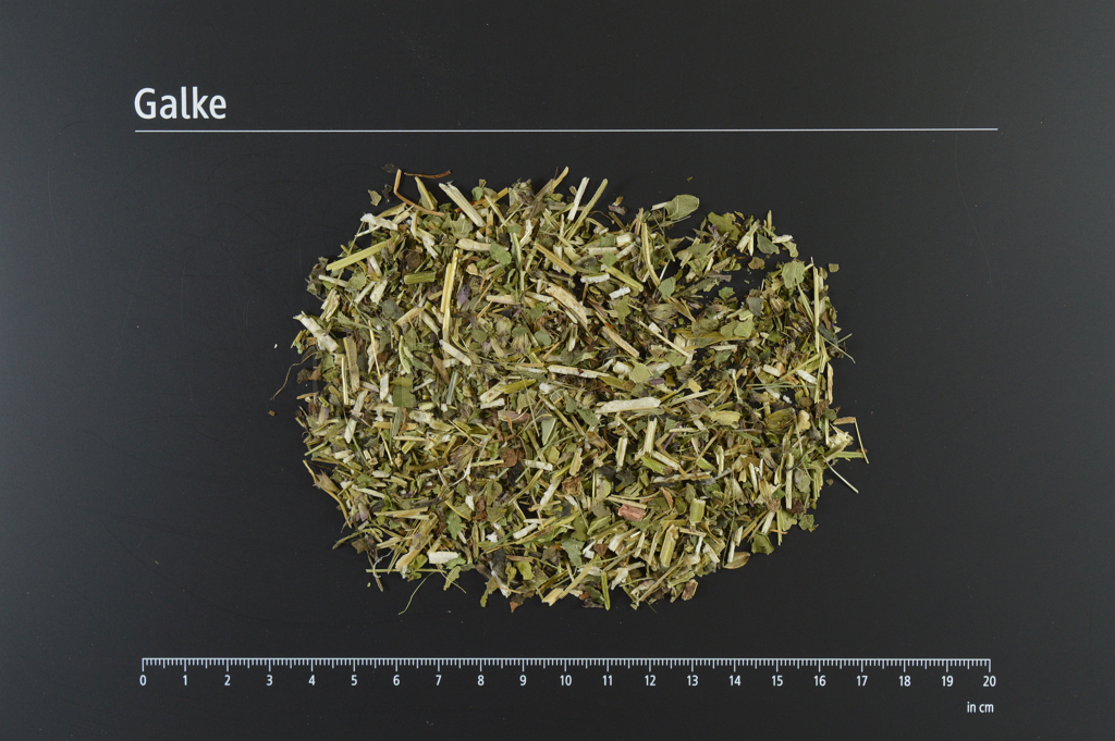 Galke | herbs and buds