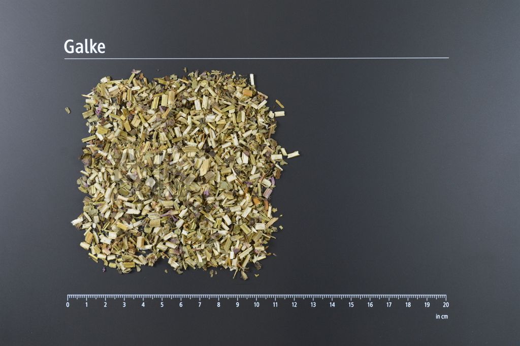 Galke | herbs and buds