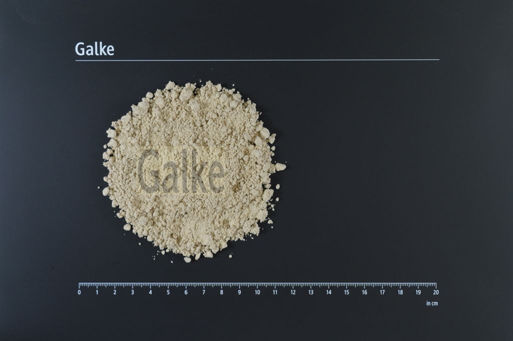 Acorus Calamus root unpeeled powder | 21204