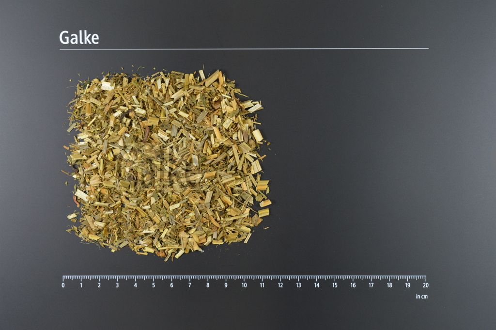 Galke | herbs and buds